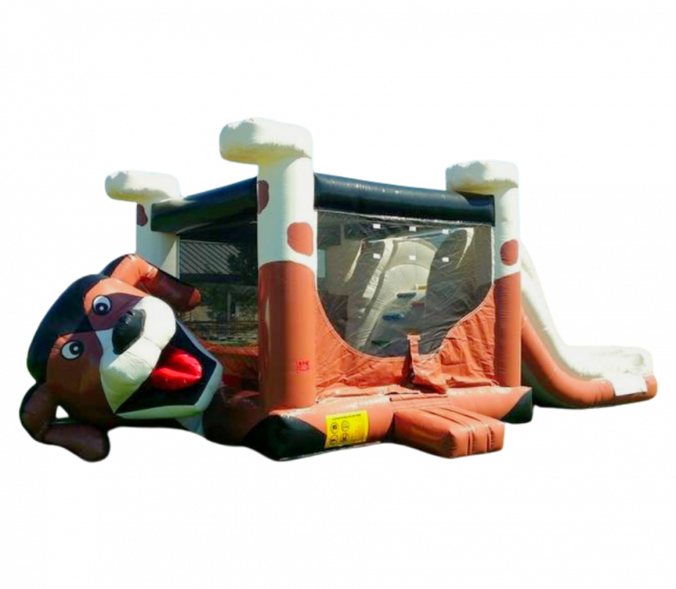 Doggo Slide - Bounce House Boise